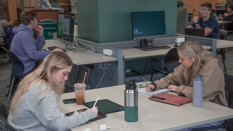 MSU Libraries | Give Green Day